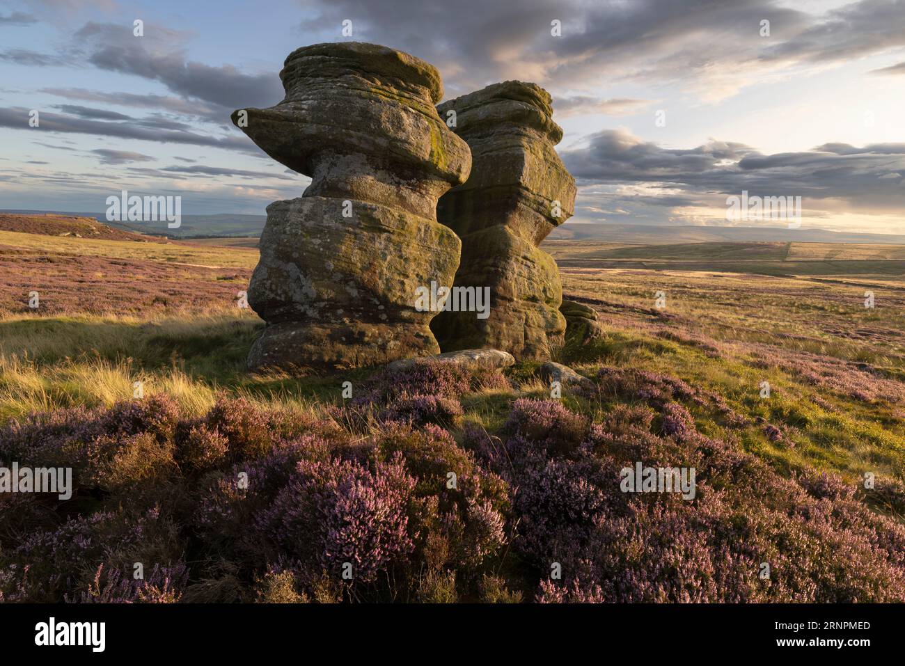 North yorkshire heather rock hi-res stock photography and images - Alamy