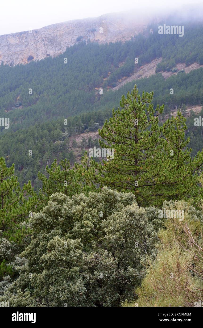 Karst mountains in the Sierra del Moncayo massif, north-eastern Spain ...