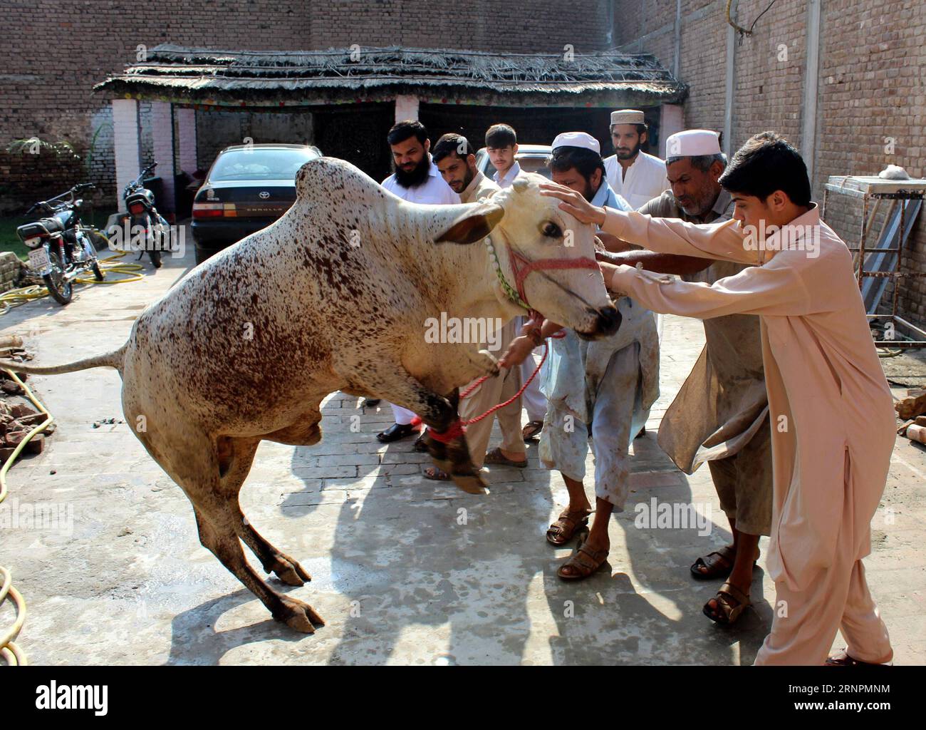 (170902) -- PESHAWAR, Sept. 2, 2017 -- Pakistani Muslims prepare to ...