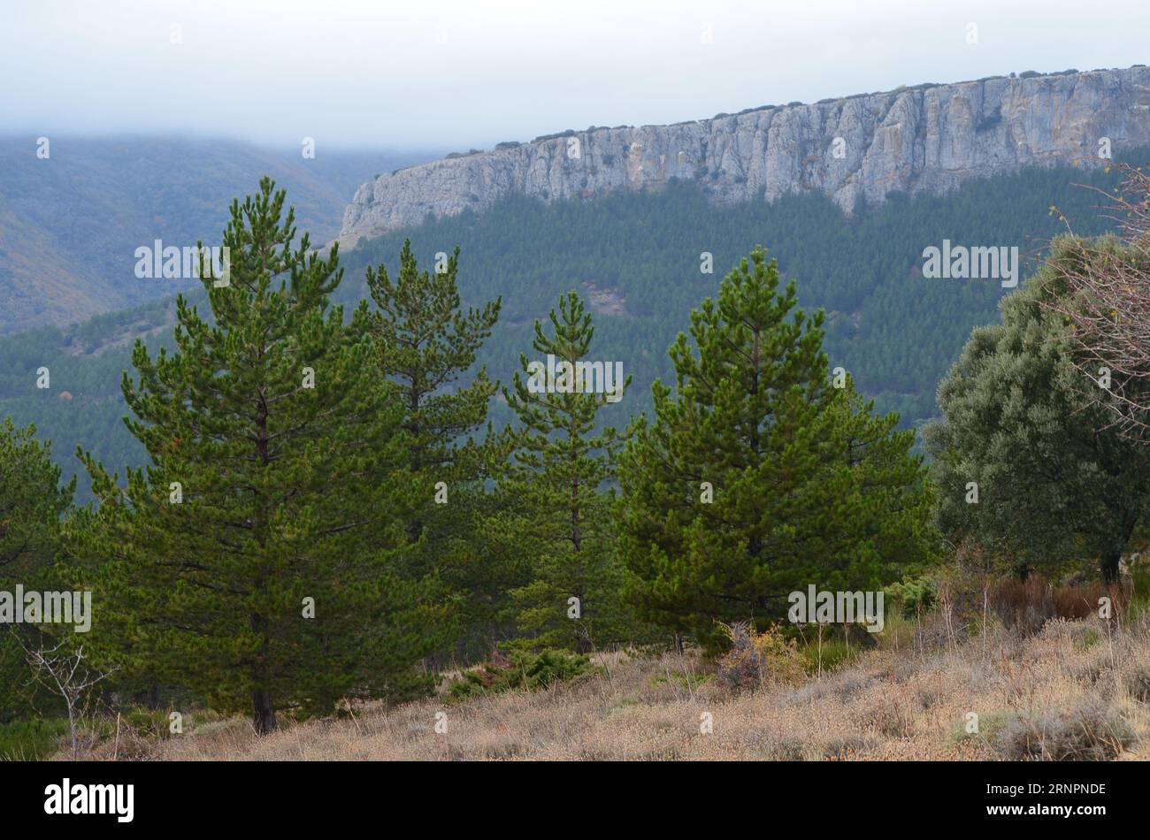 Karst mountains in the Sierra del Moncayo massif, north-eastern Spain ...