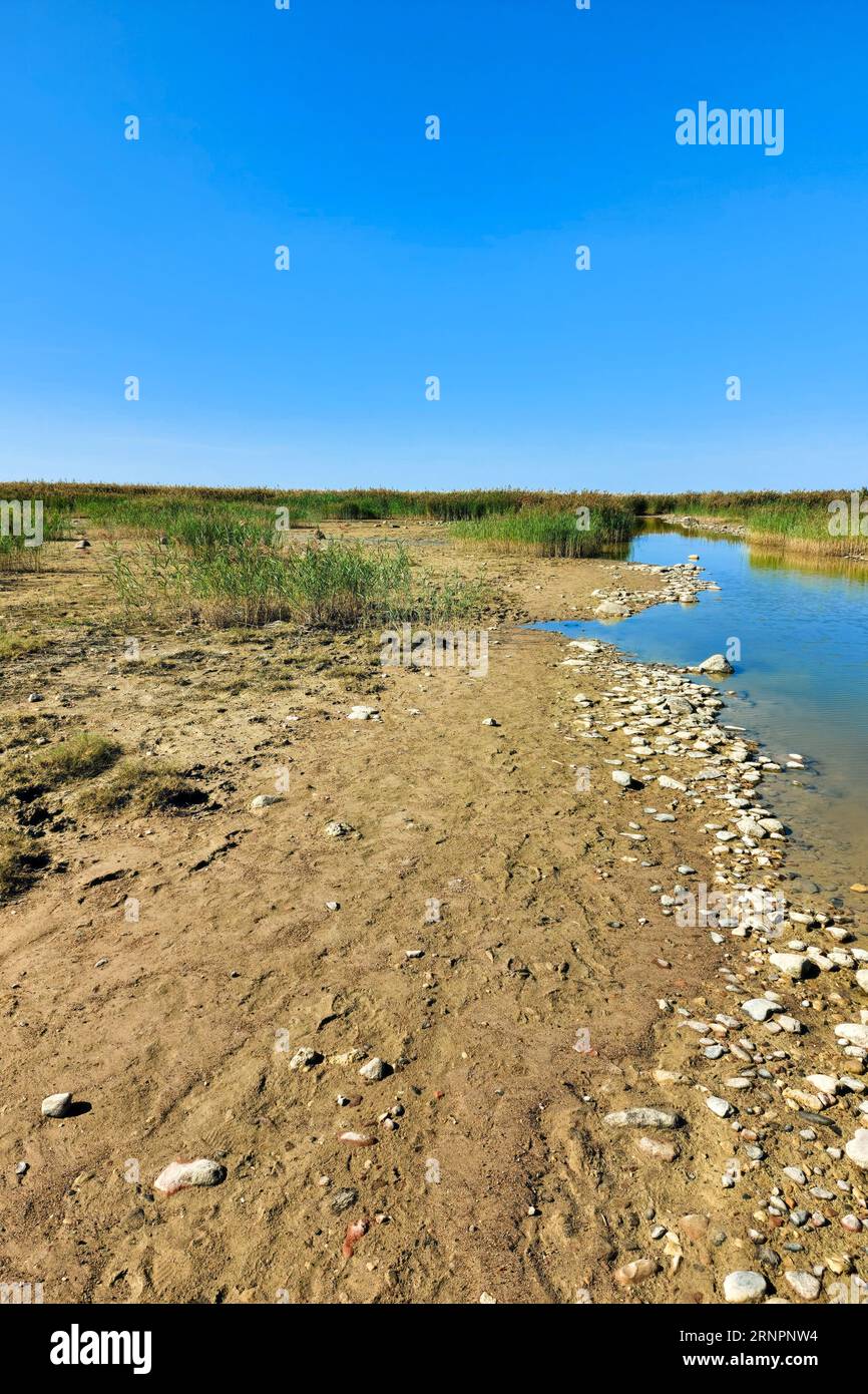 The coast of Vilsandi Island. Rocky shores. Preserved nature. Estonian ...