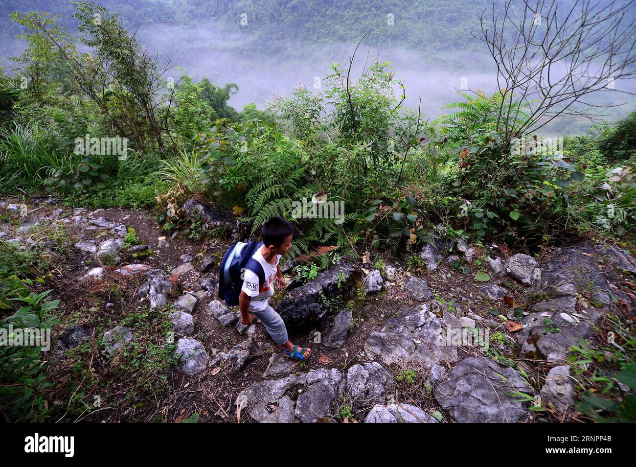 (170904) -- LIUZHOU, Sept. 4, 2017 -- Li Jianwen walks alone on his way ...
