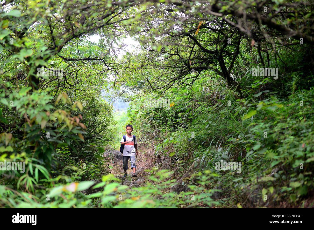 (170904) -- LIUZHOU, Sept. 4, 2017 -- Li Jianwen walks alone on his way ...