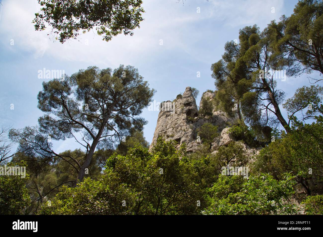 the calanques (france) with their impressive rocks, plants and crystal ...