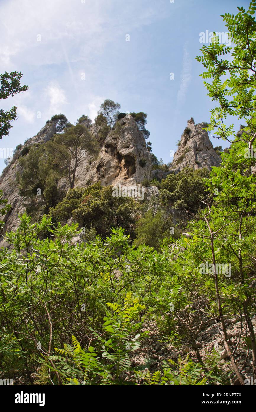 the calanques (france) with their impressive rocks, plants and crystal ...
