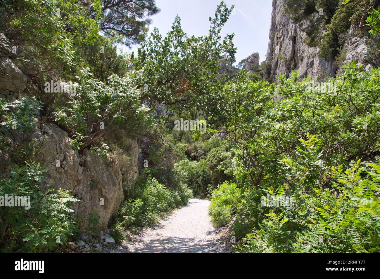 the calanques (france) with their impressive rocks, plants and crystal ...