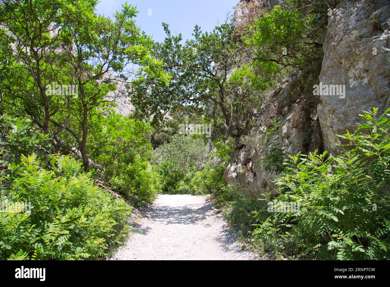 the calanques (france) with their impressive rocks, plants and crystal ...