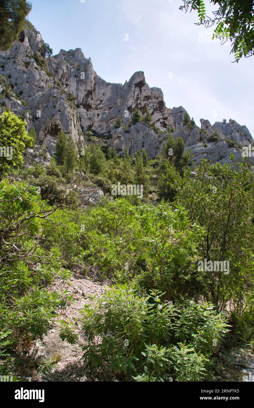 the calanques (france) with their impressive rocks, plants and crystal ...