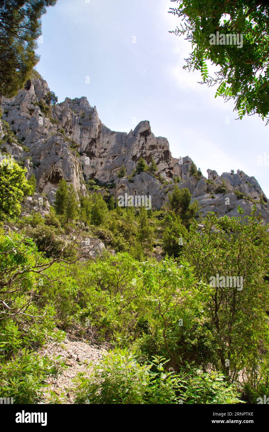 the calanques (france) with their impressive rocks, plants and crystal ...