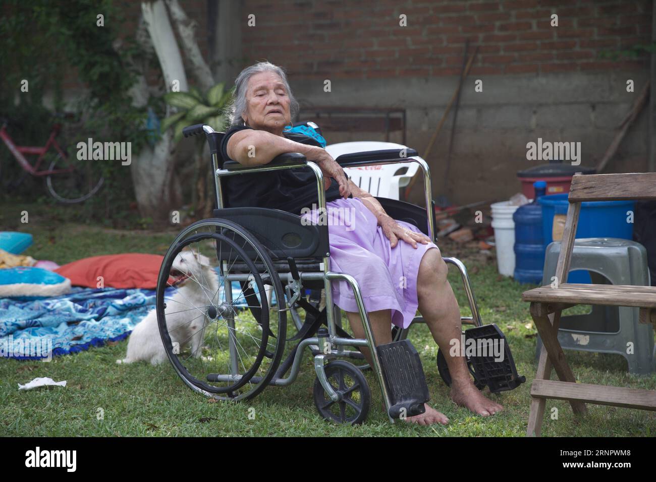 Mexico earthquake aftermath hi-res stock photography and images - Alamy