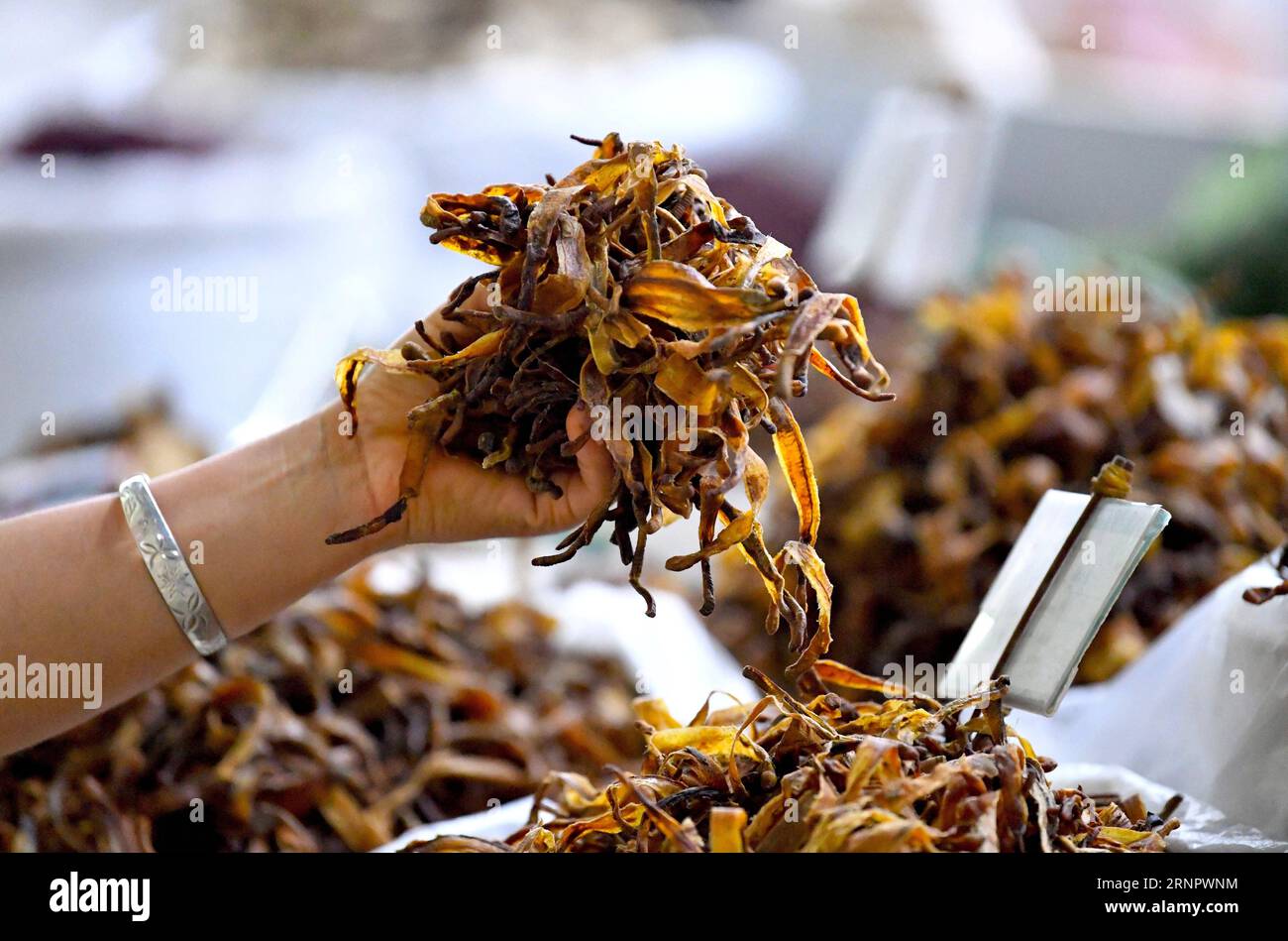 Traditional chinese medicinal materials hi-res stock photography and ...