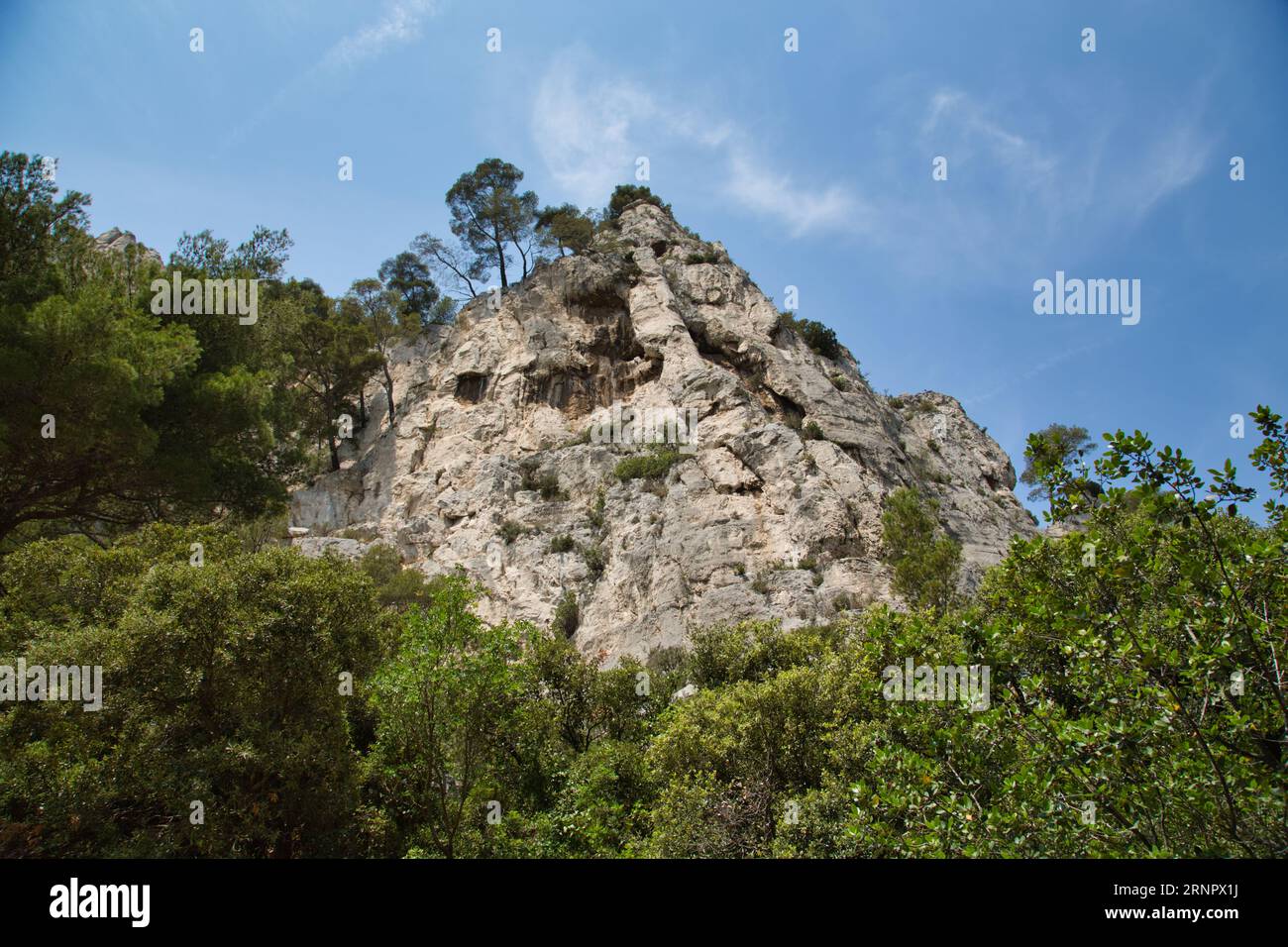 the calanques (france) with their impressive rocks, plants and crystal ...
