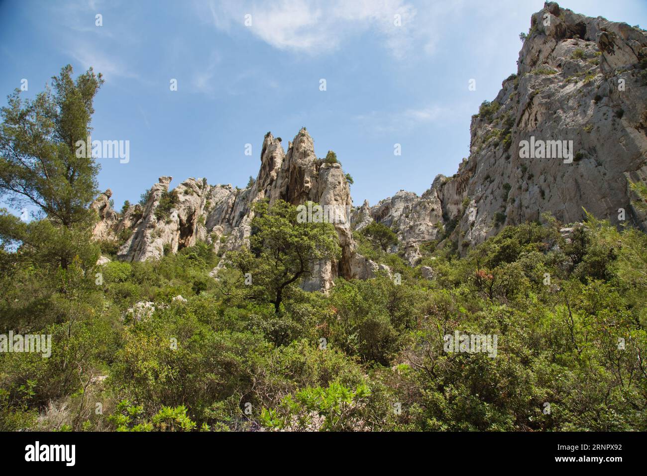 the calanques (france) with their impressive rocks, plants and crystal ...