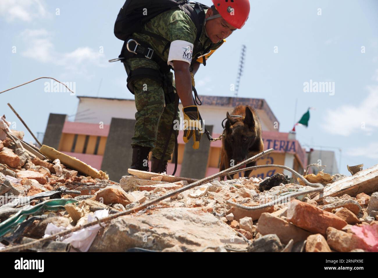 2017 mexico earthquake collapse hi-res stock photography and images - Alamy