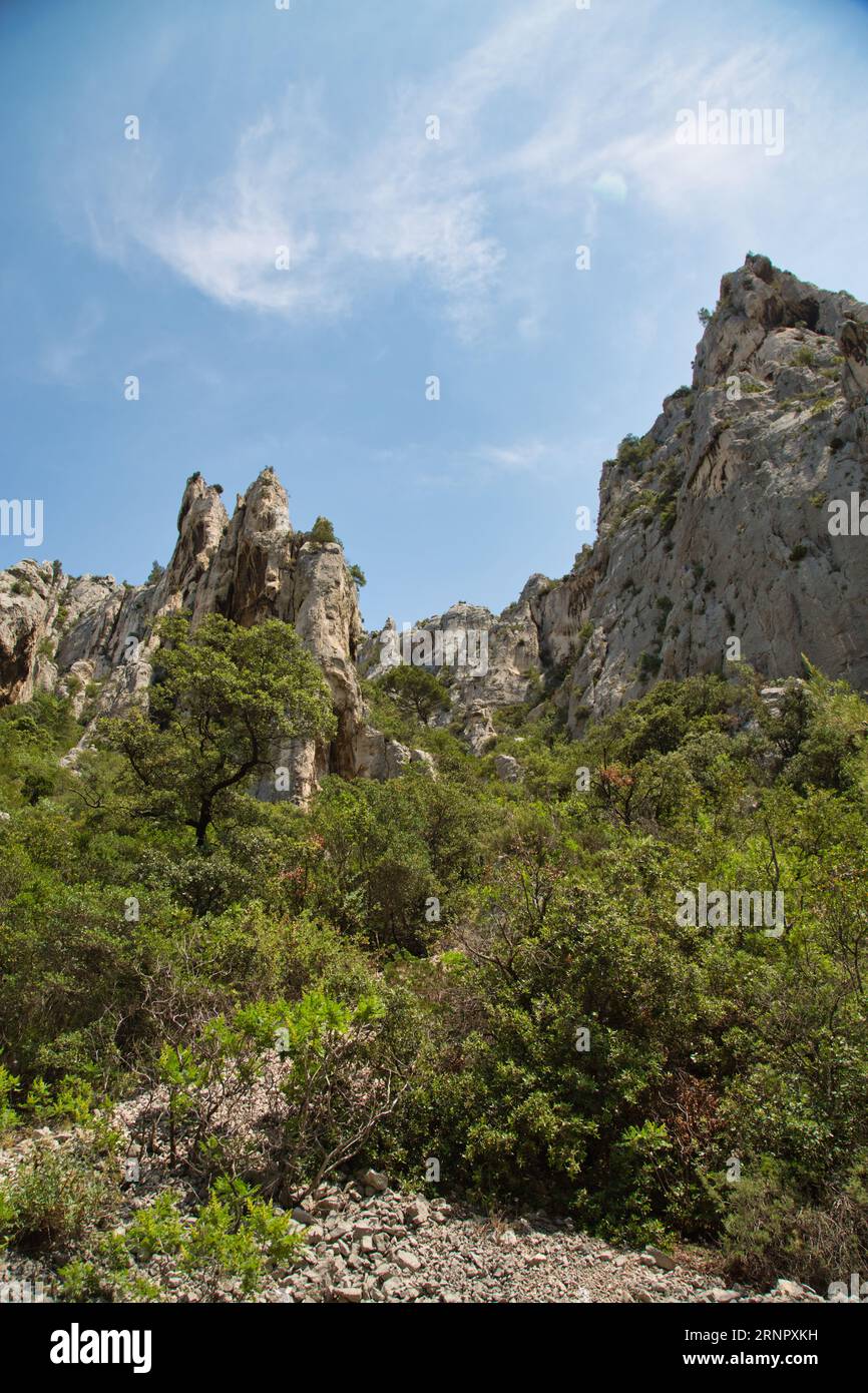 the calanques (france) with their impressive rocks, plants and crystal ...