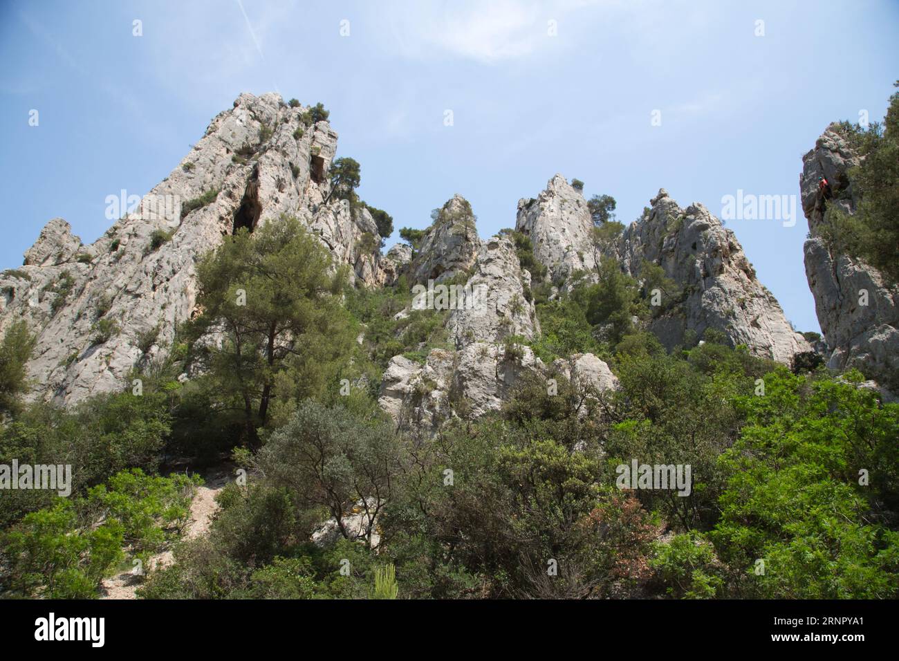 the calanques (france) with their impressive rocks, plants and crystal ...