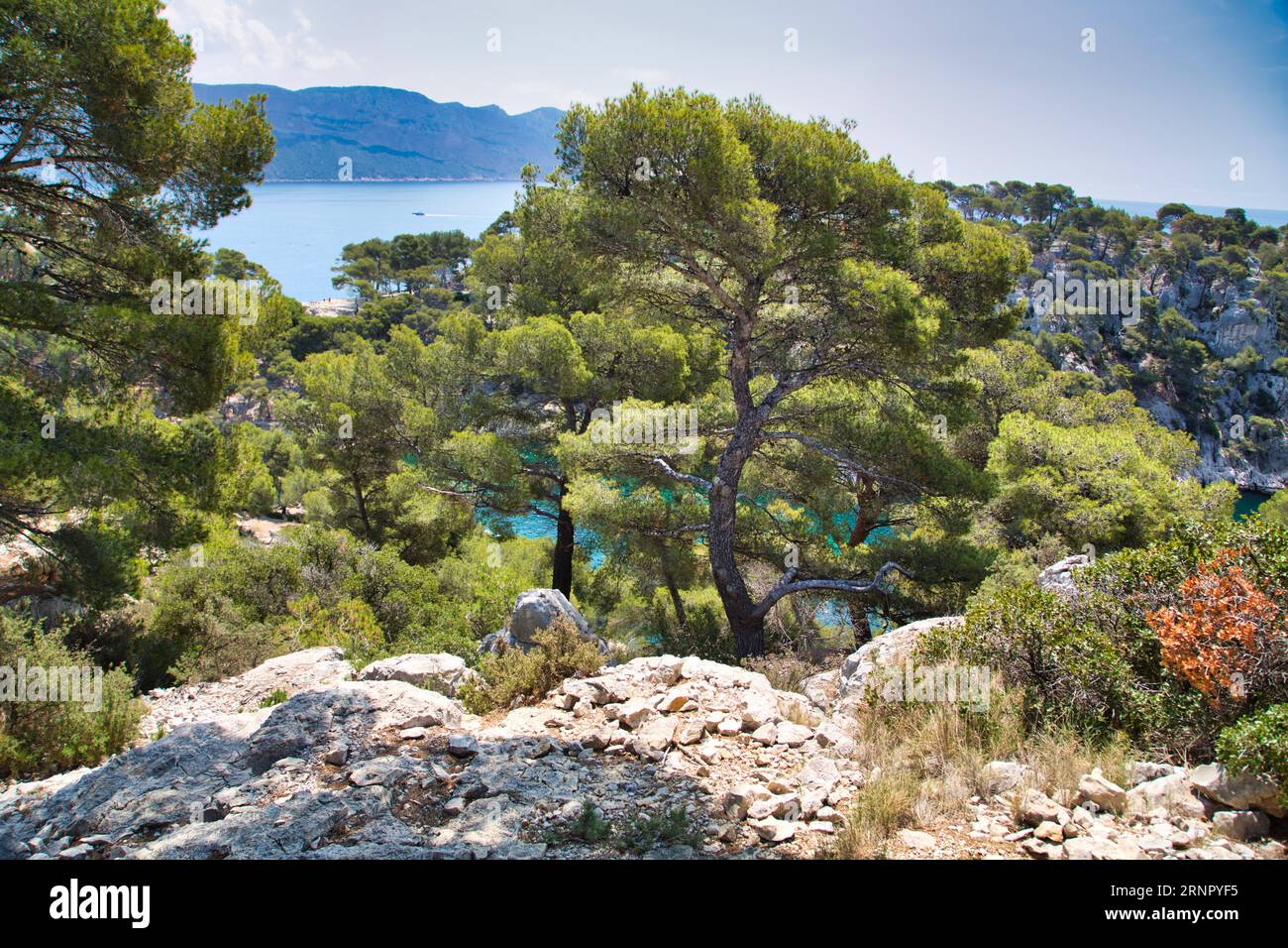 the calanques (france) with their impressive rocks, plants and crystal ...