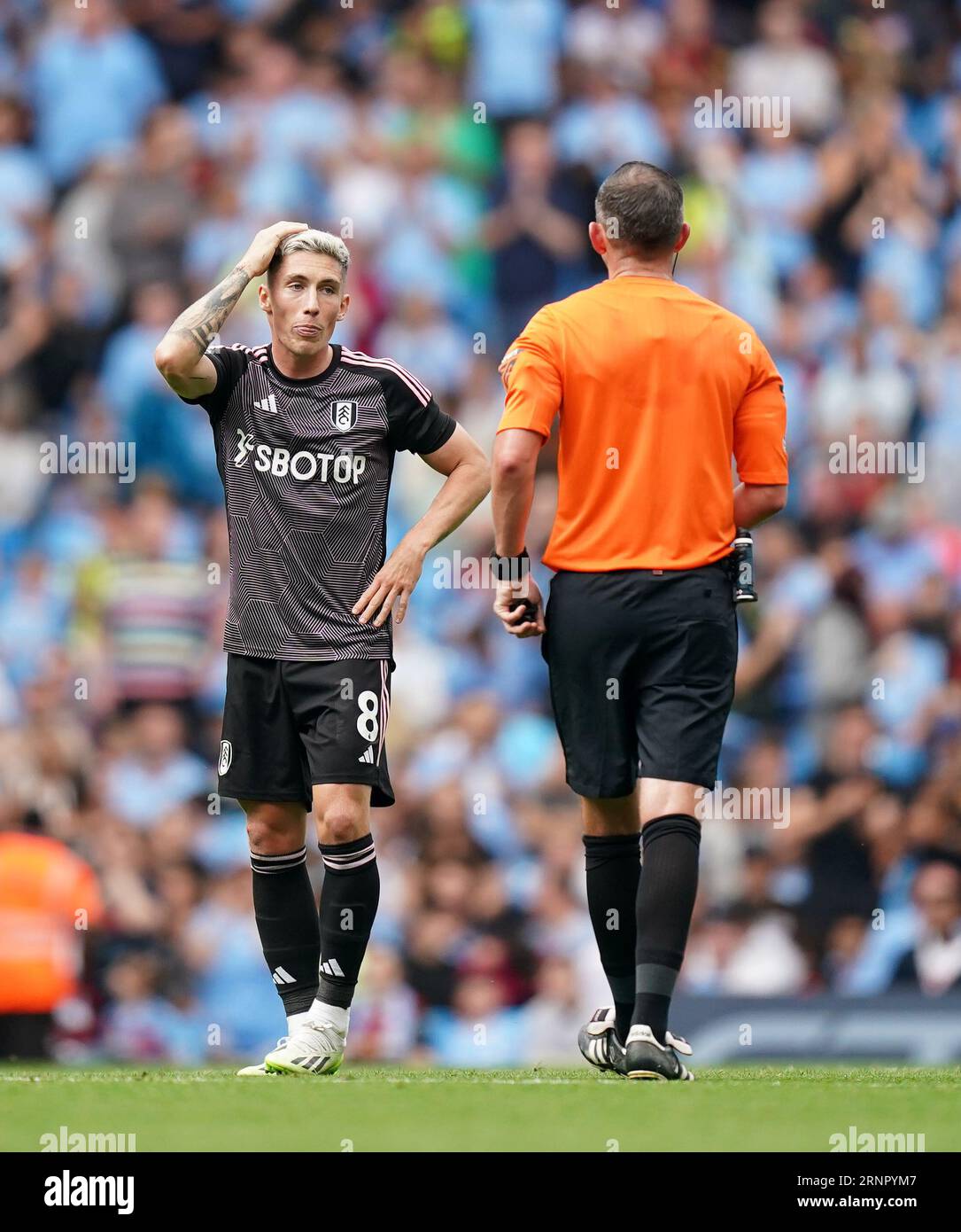 Fulham's Harry Wilson appeals to referee Michael Oliver following ...