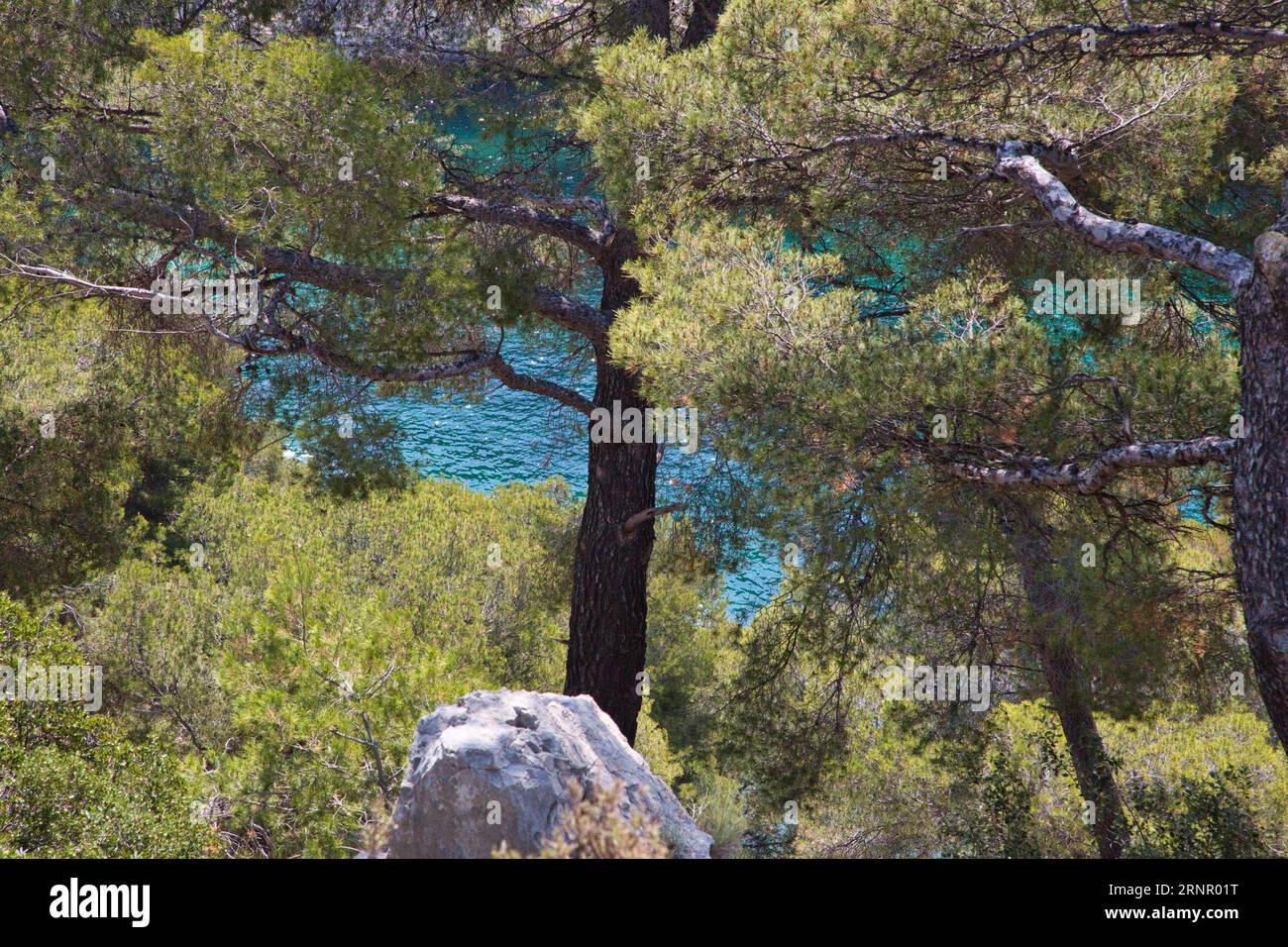 the calanques (france) with their impressive rocks, plants and crystal ...