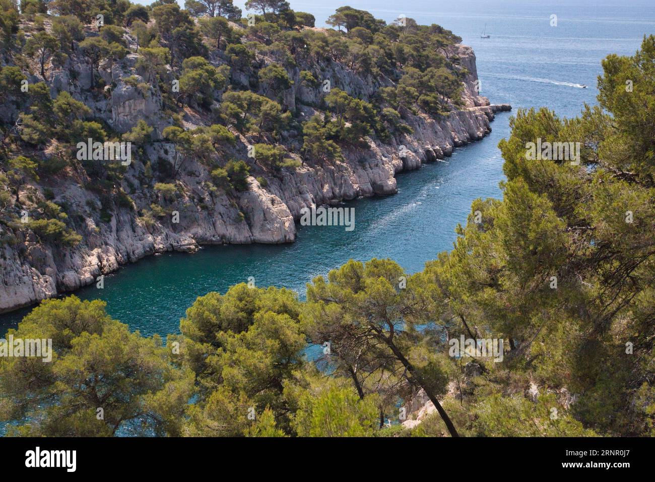 the calanques (france) with their impressive rocks, plants and crystal ...