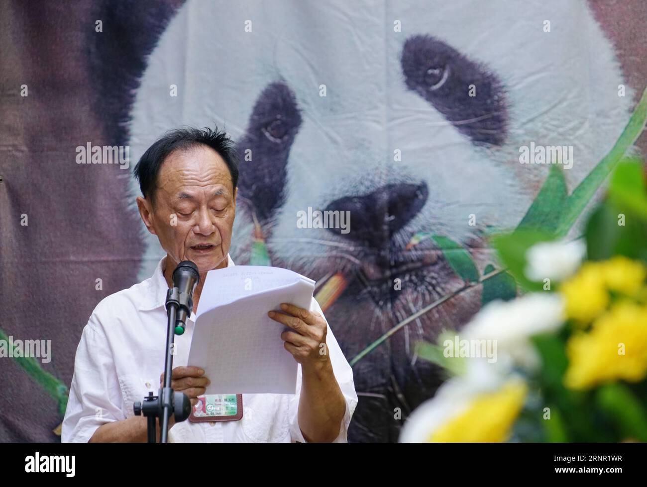 Pandsage hi-res stock photography and images - Alamy