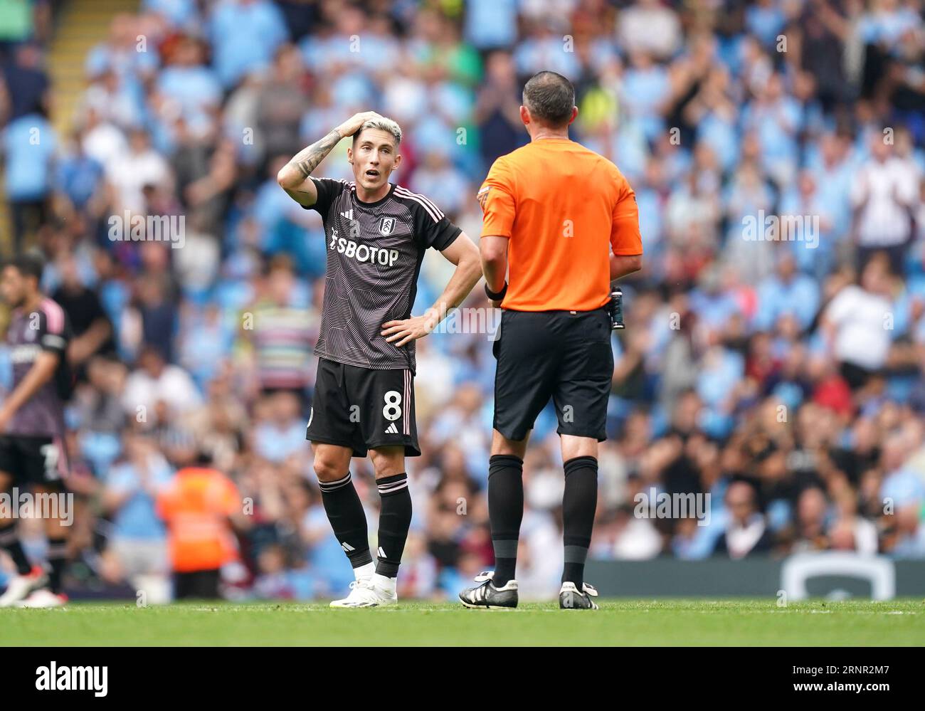 Fulham's Harry Wilson appeals to referee Michael Oliver following ...