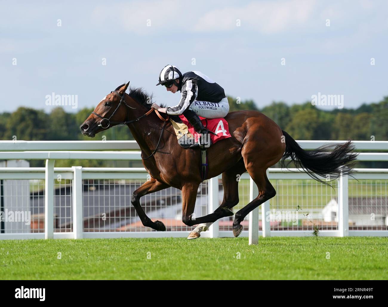 Classical song horse hi-res stock photography and images - Alamy