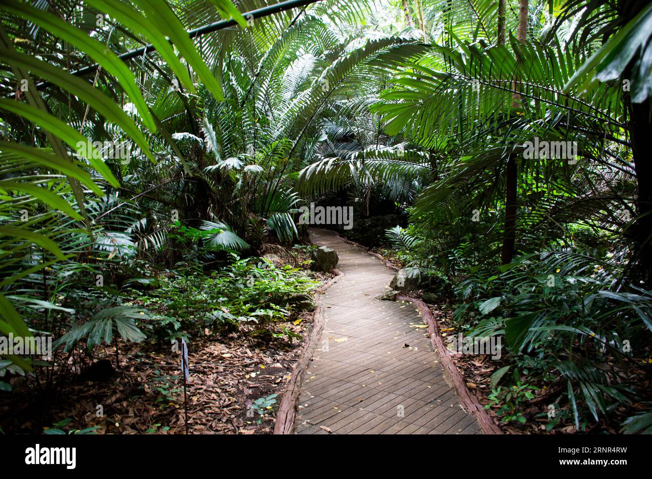Hup Pa Tat cave valley and Khao Pla Ra limestone mountain in Tham ...