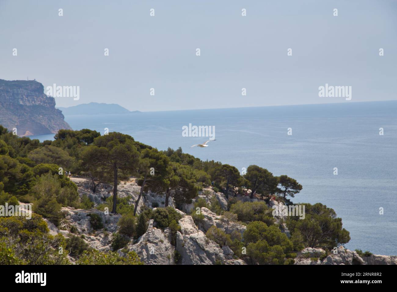 the calanques (france) with their impressive rocks, plants and crystal ...