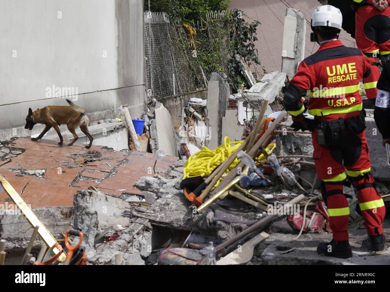 Usar rescue people hi-res stock photography and images - Alamy