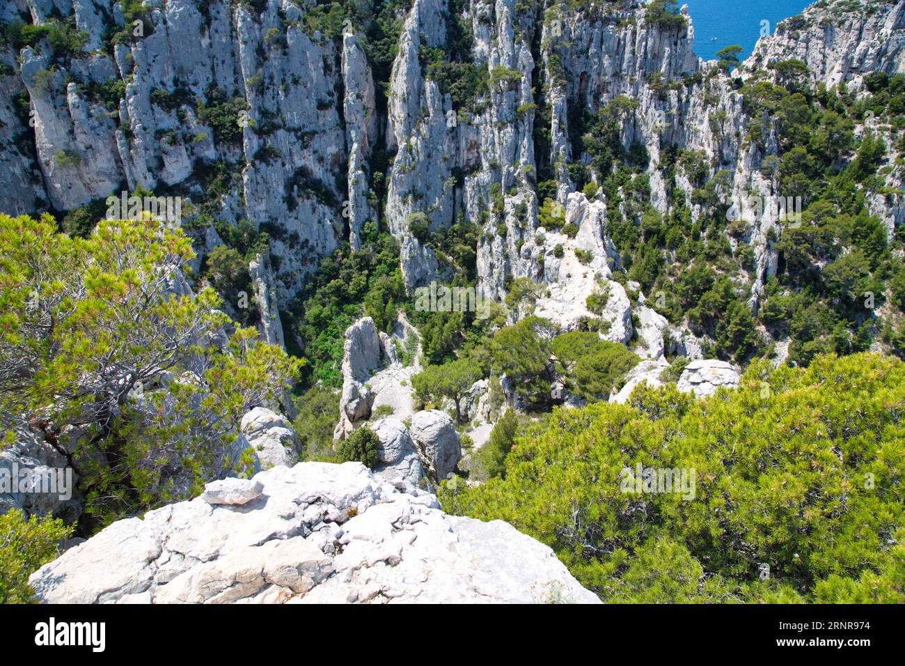 the calanques (france) with their impressive rocks, plants and crystal ...