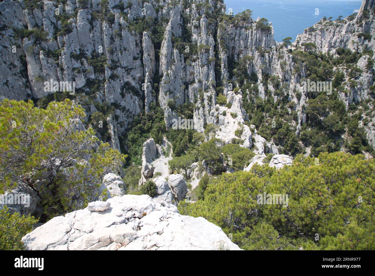 the calanques (france) with their impressive rocks, plants and crystal ...
