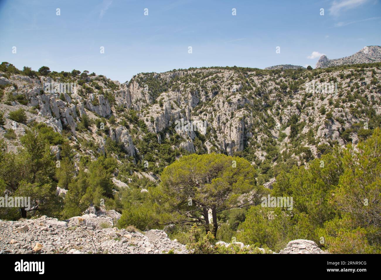 the calanques (france) with their impressive rocks, plants and crystal ...