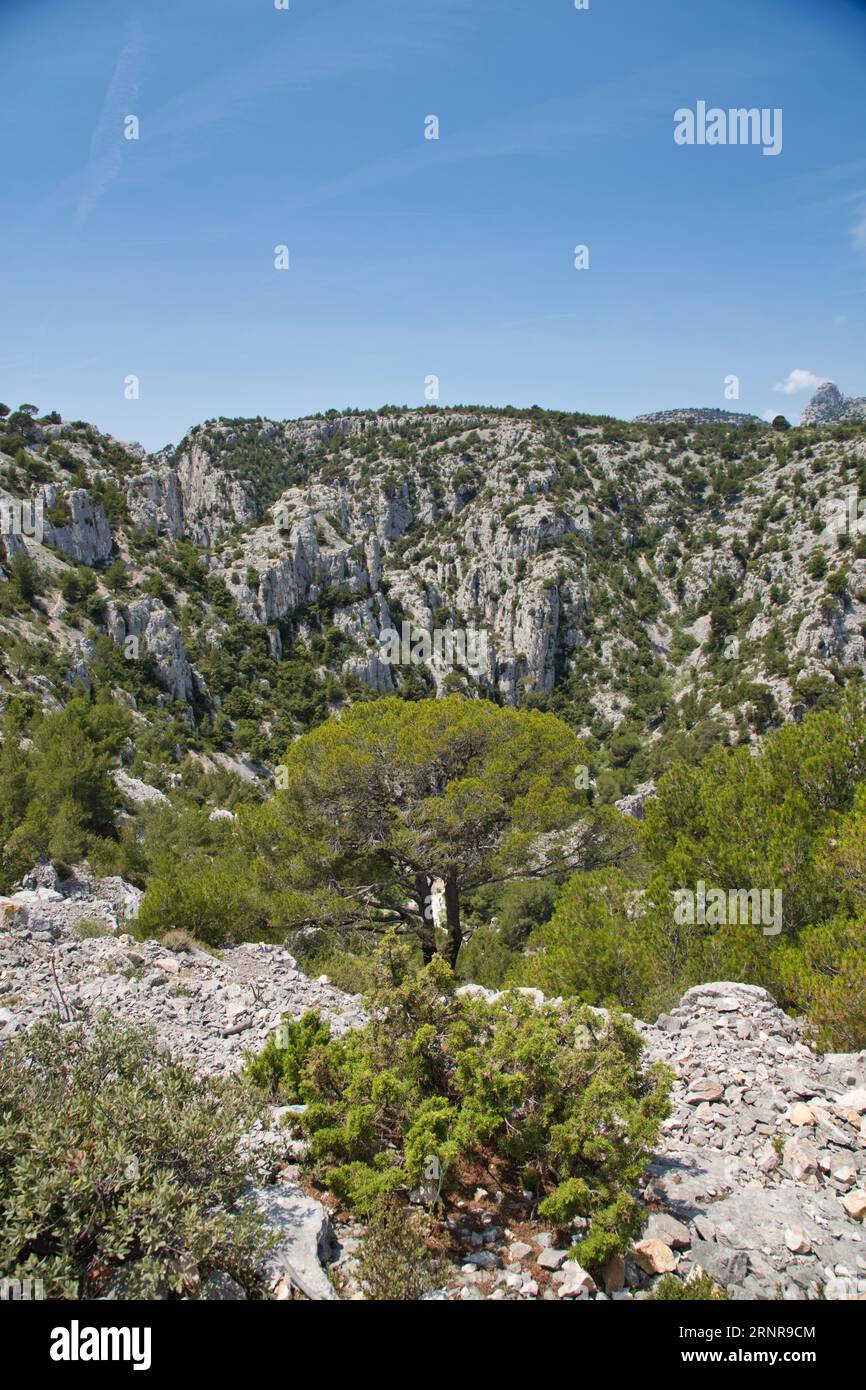the calanques (france) with their impressive rocks, plants and crystal ...