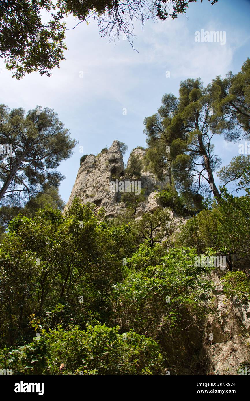 the calanques (france) with their impressive rocks, plants and crystal ...