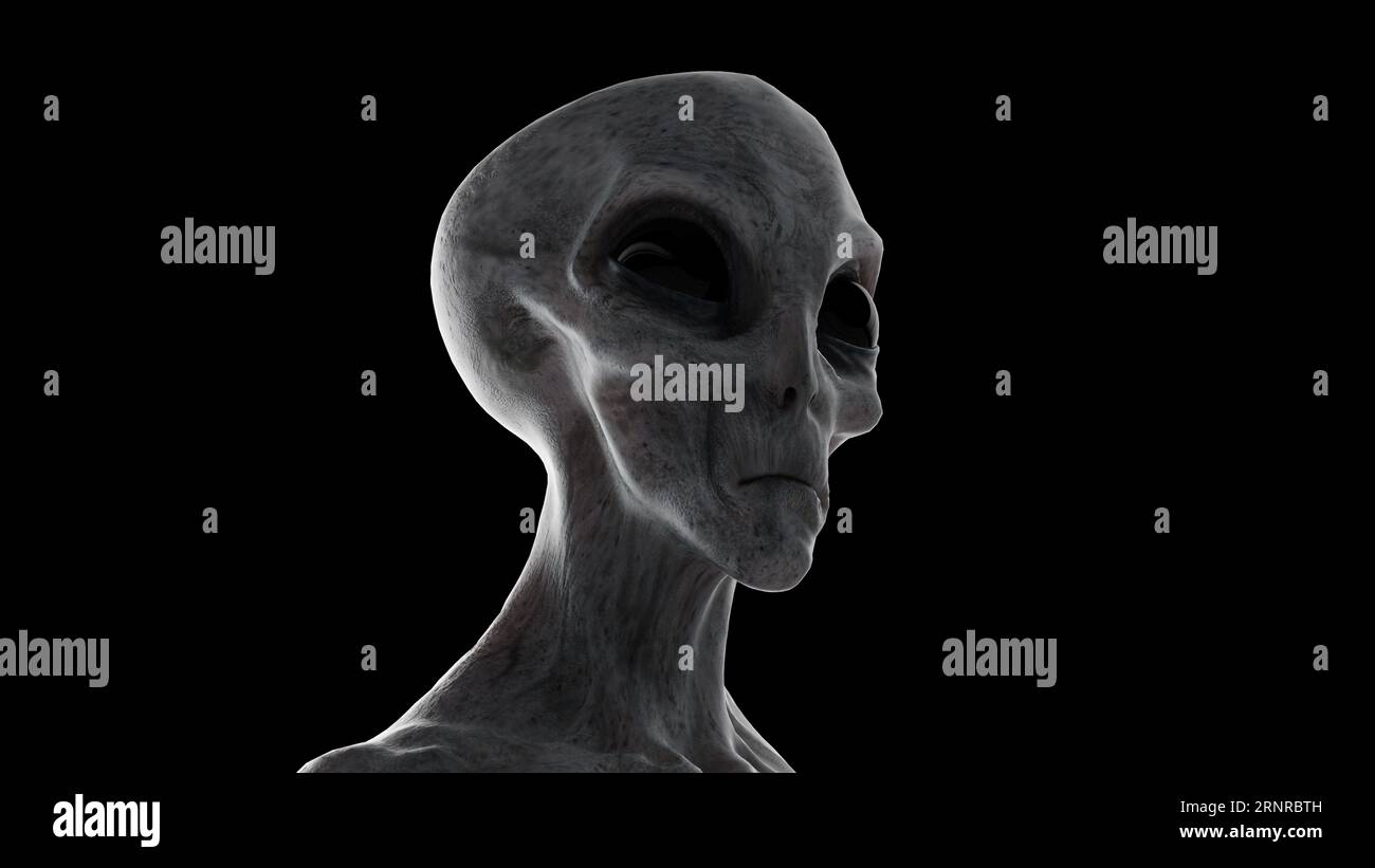 Alien anatomy hi-res stock photography and images - Alamy