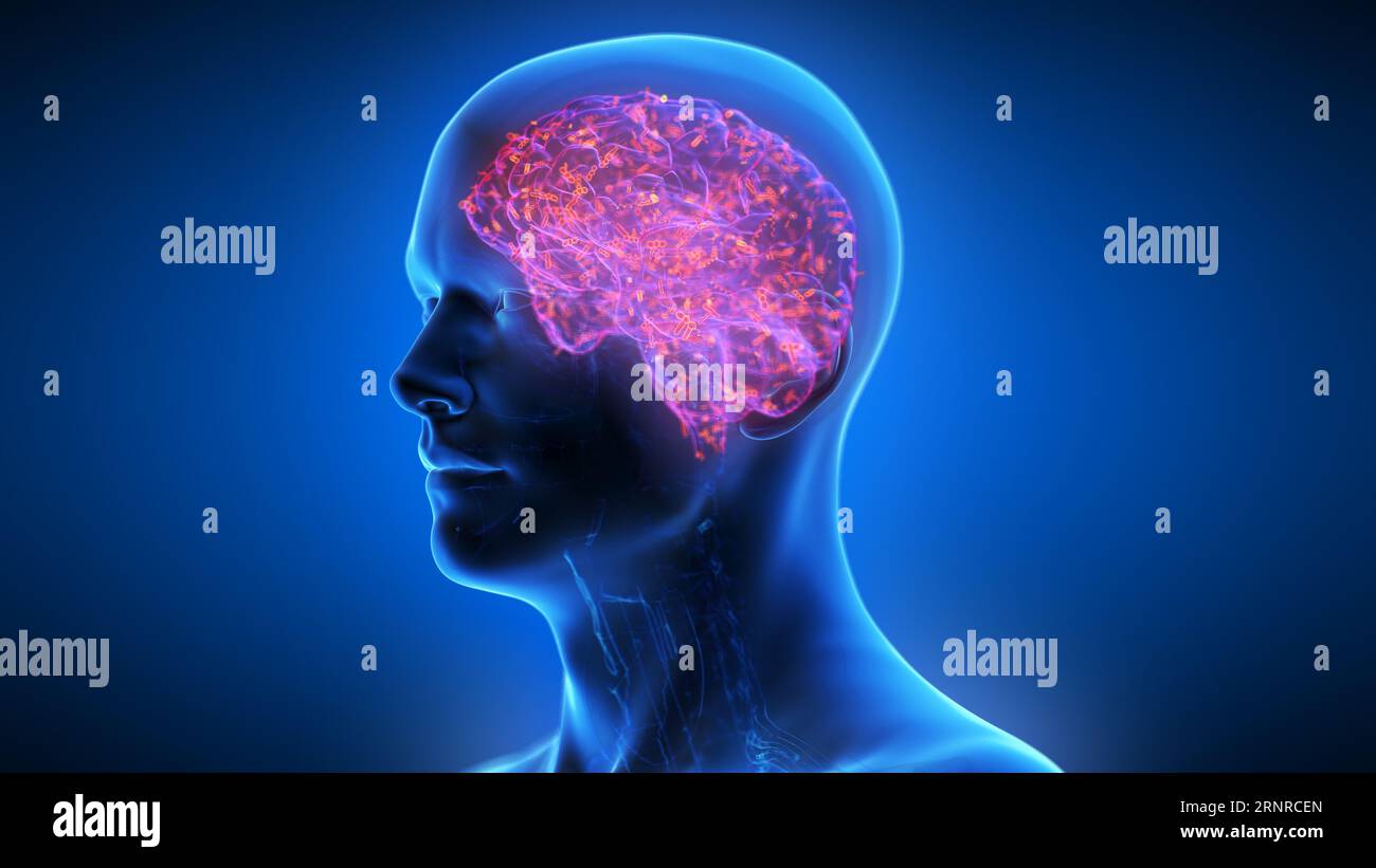 Infected human brain, illustration Stock Photo - Alamy