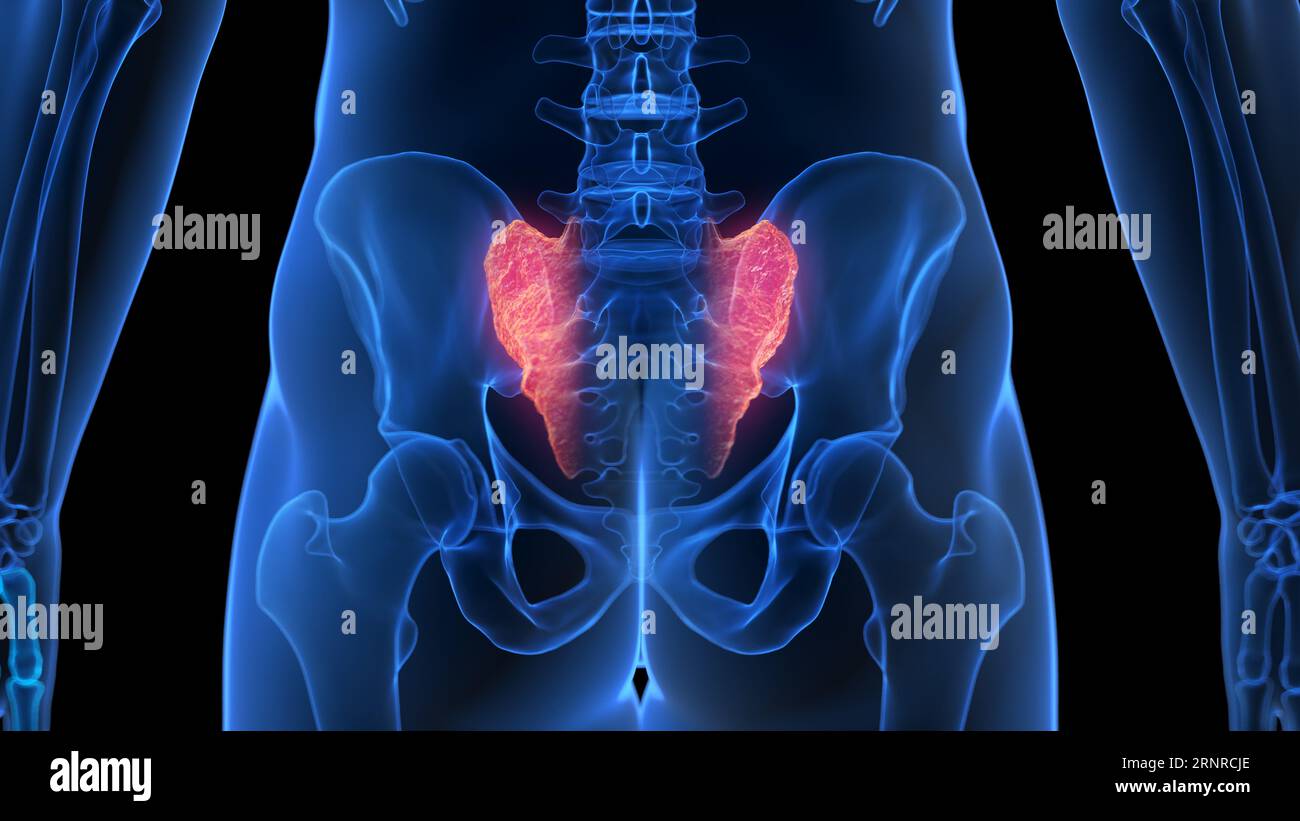 Sacroiliac joint hi-res stock photography and images - Alamy