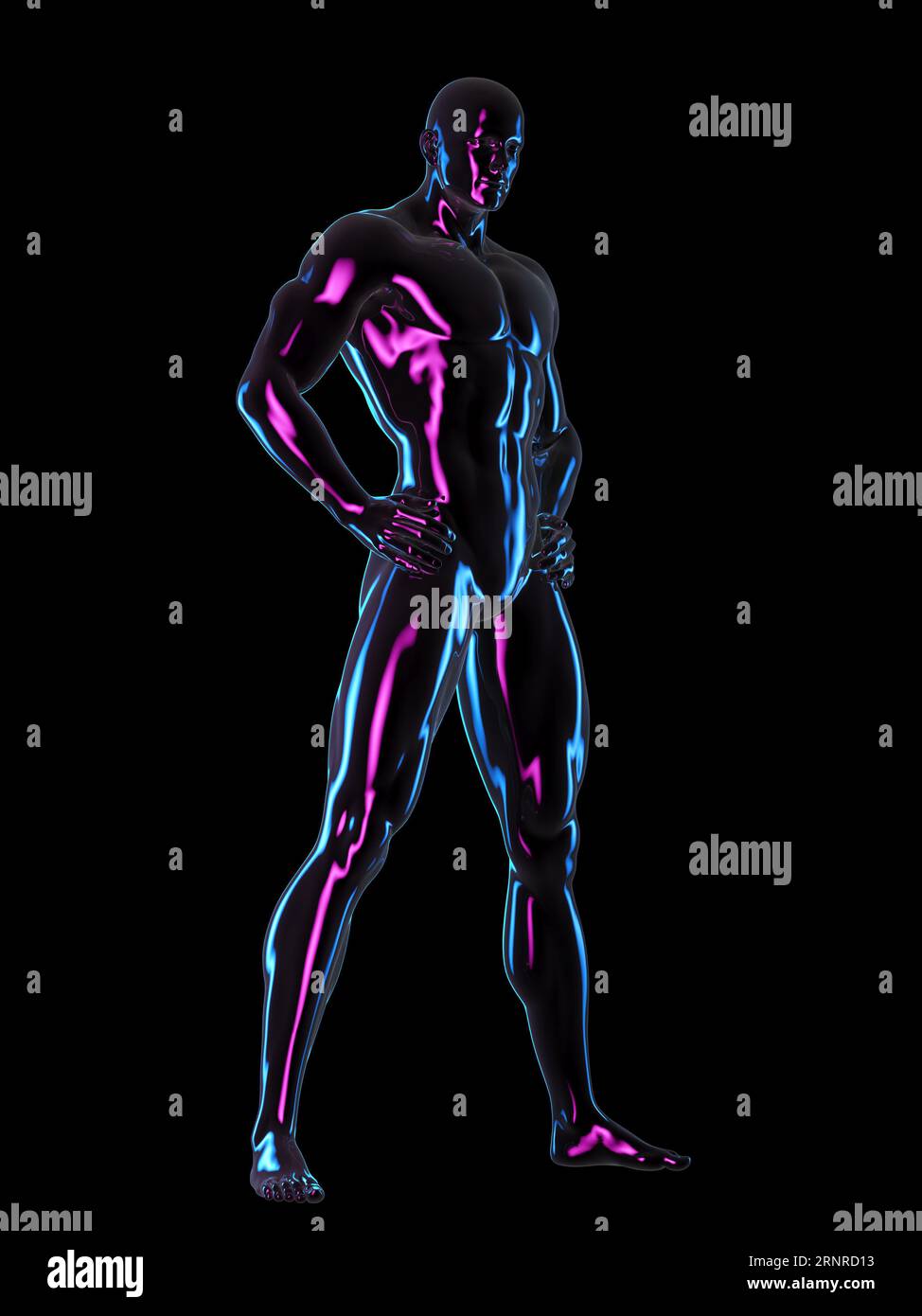 Muscular male body, illustration Stock Photo - Alamy