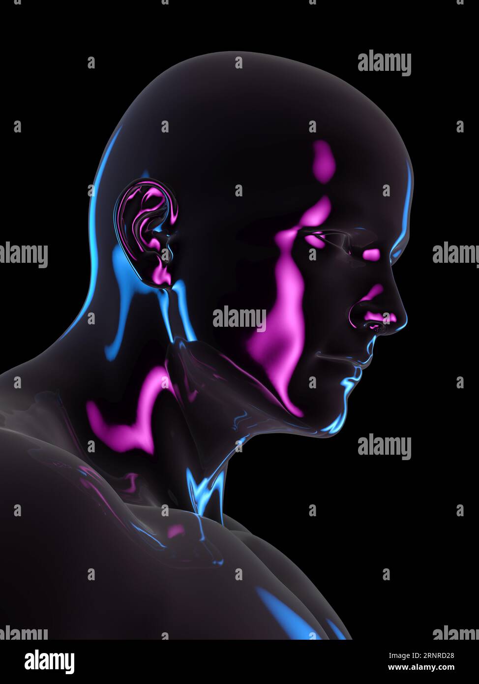 Muscular male body, illustration Stock Photo - Alamy
