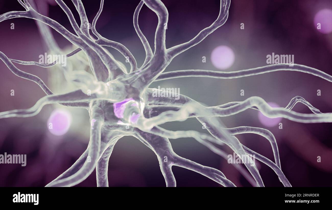 Human nerve cell, illustration Stock Photo - Alamy