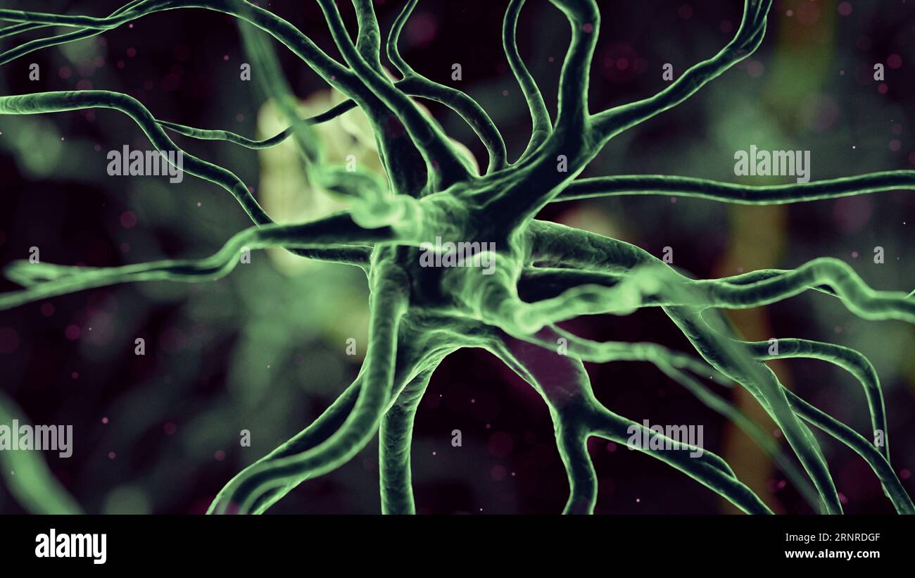Human nerve cell, illustration Stock Photo - Alamy