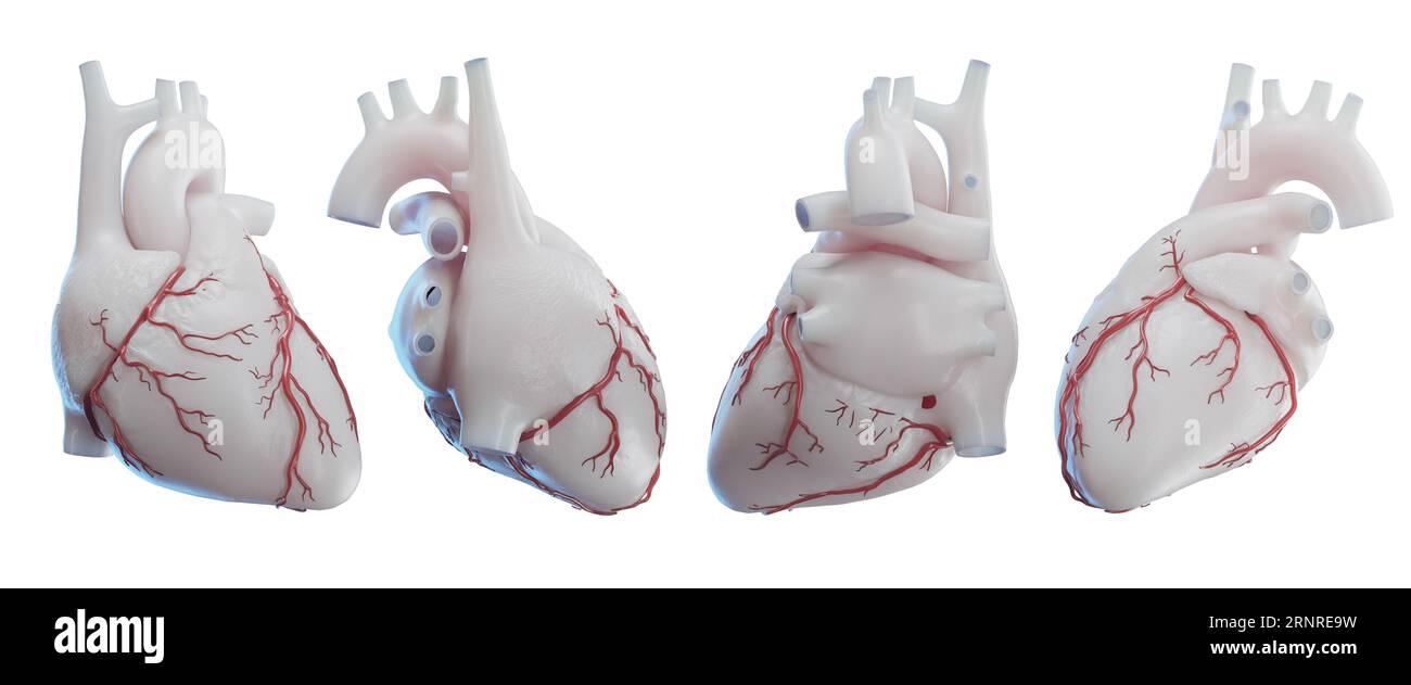 Sculpture atrium Cut Out Stock Images & Pictures - Alamy