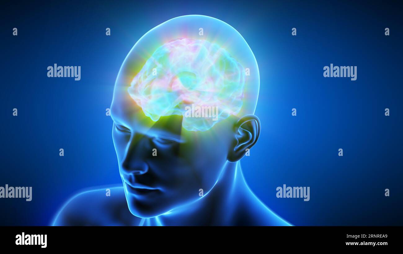 Active human brain, illustration Stock Photo - Alamy