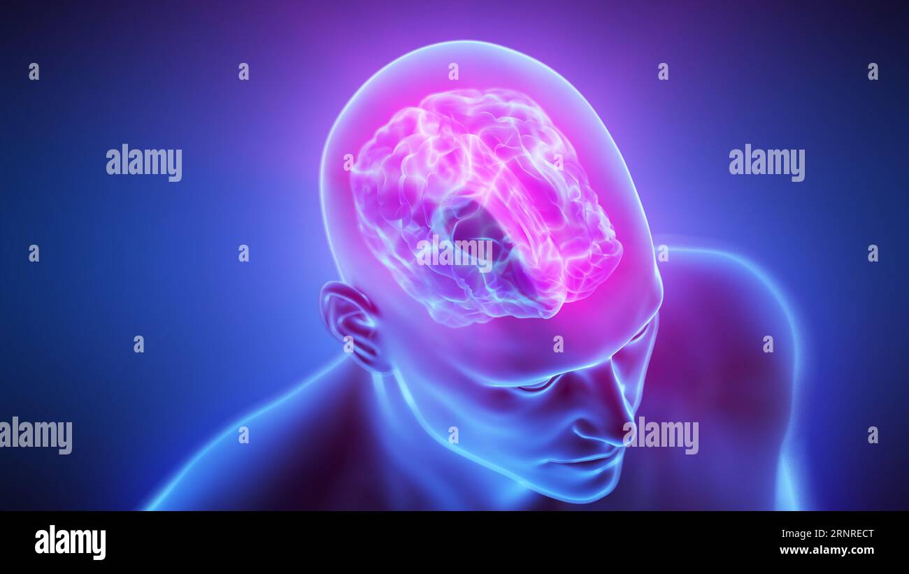 Active human brain, illustration Stock Photo - Alamy