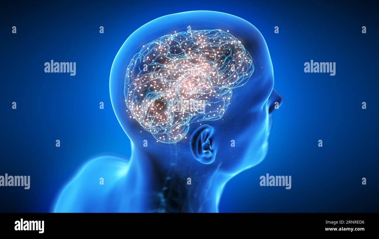 Active human brain, illustration Stock Photo - Alamy