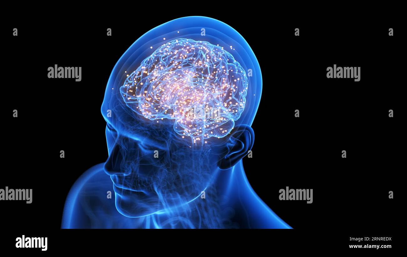 Active human brain, illustration Stock Photo - Alamy