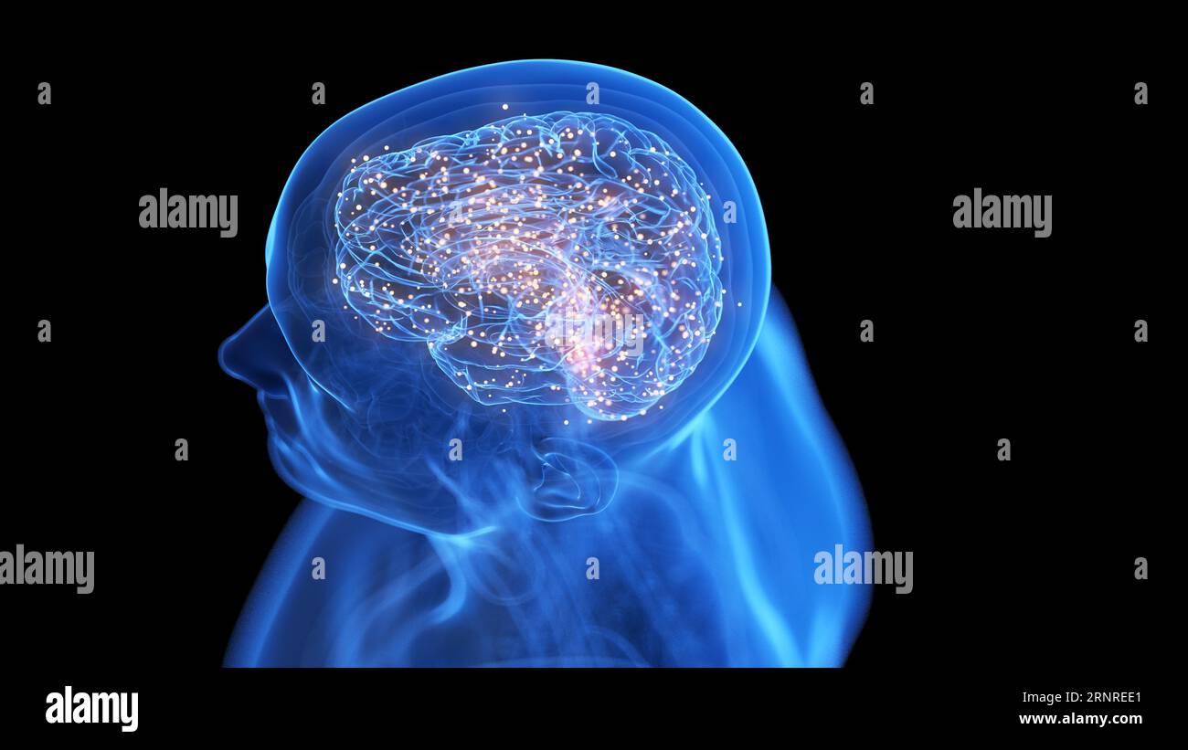 Active human brain, illustration Stock Photo - Alamy