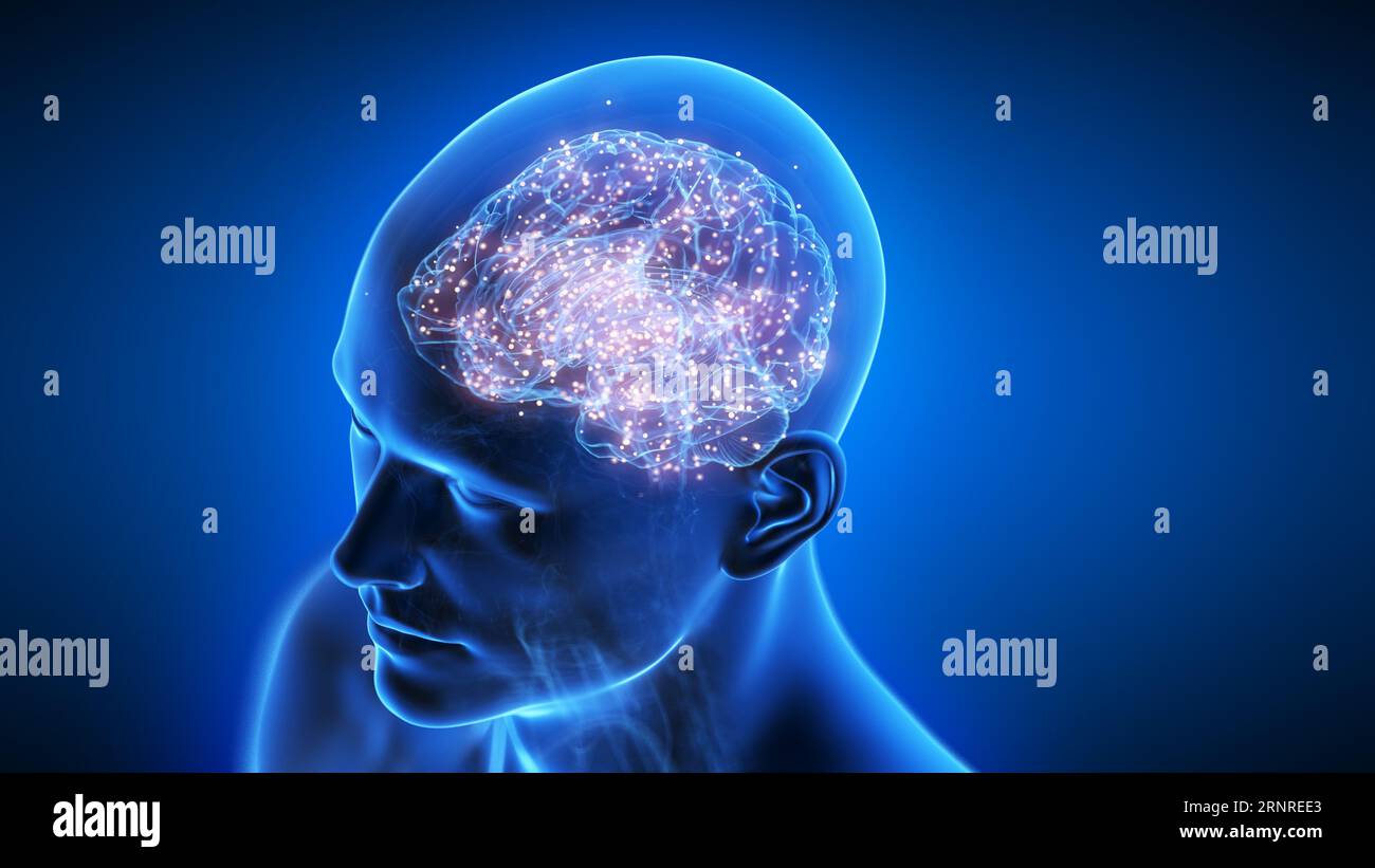 Active human brain, illustration Stock Photo - Alamy