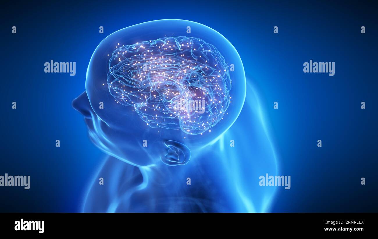 Active human brain, illustration Stock Photo - Alamy